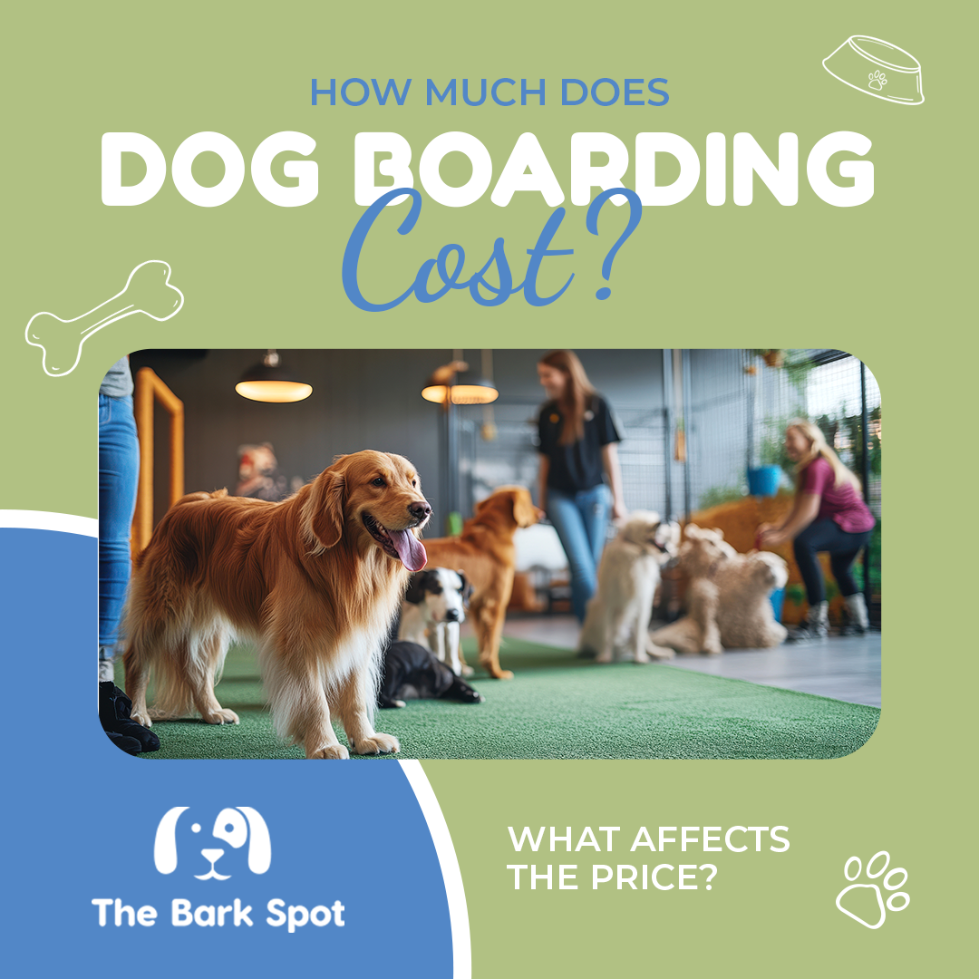 How Much Does Dog Boarding Cost and What Affects the Price? | The Bark Spot